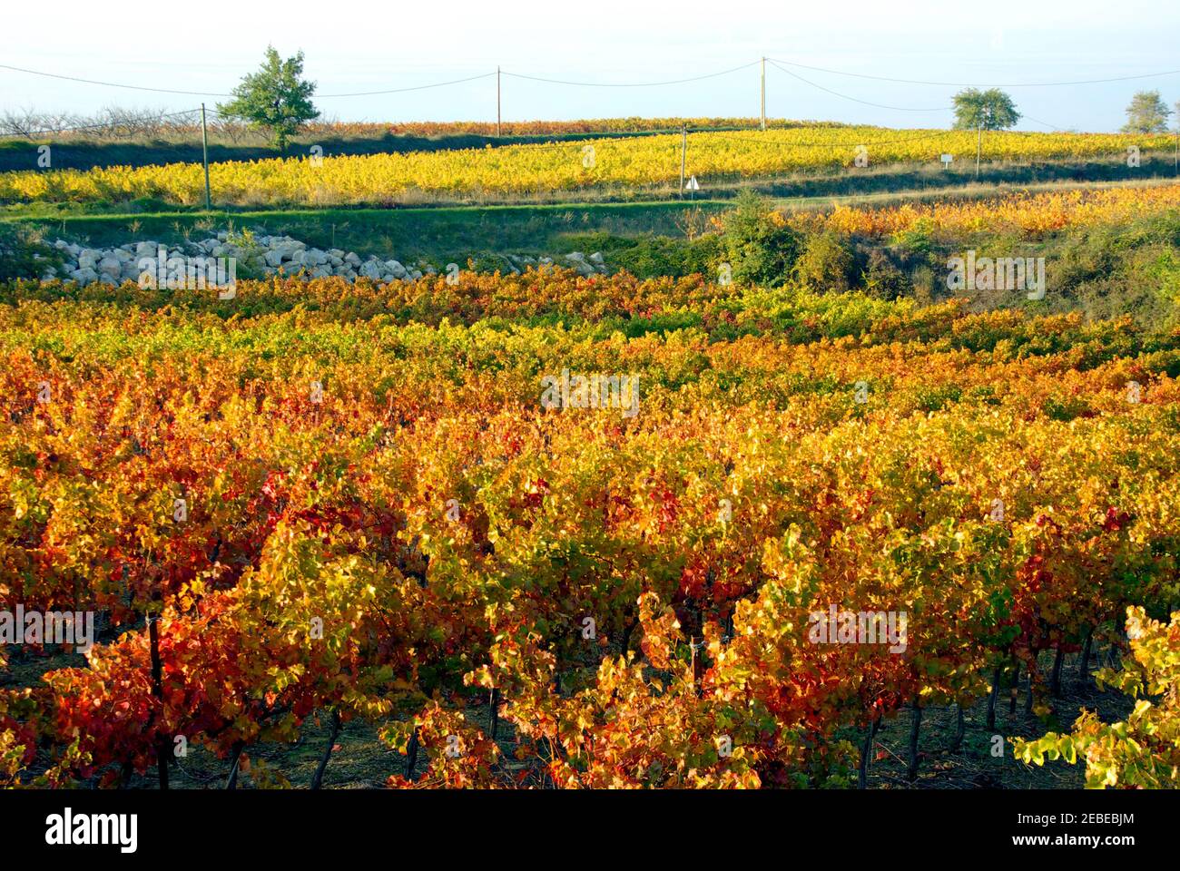 Same scene different season hi-res stock photography and images - Alamy