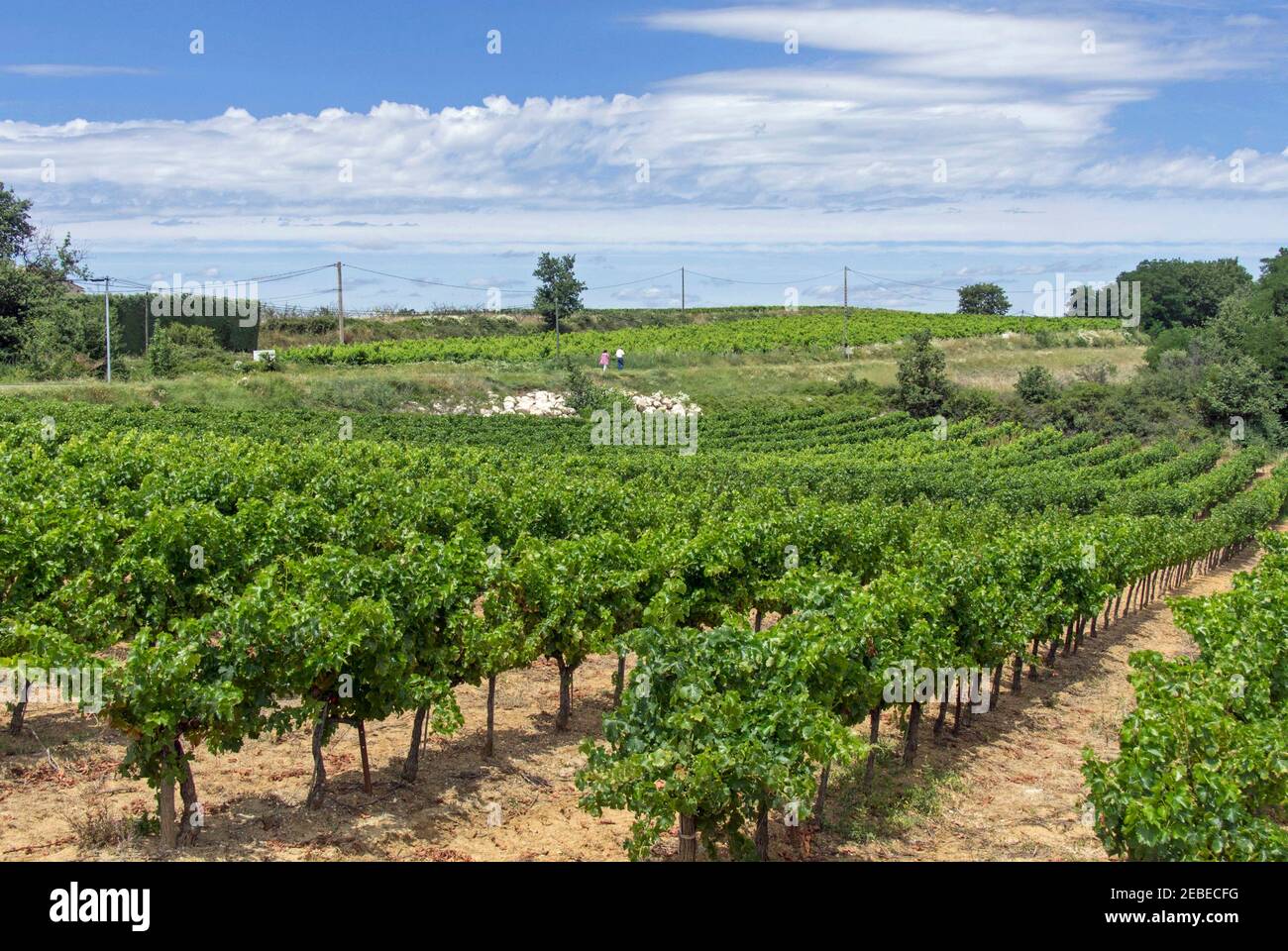Same Scene Different Season High Resolution Stock Photography and ...