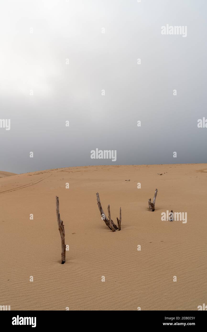 wild desert landscape and large sand dune with under an overcast ...