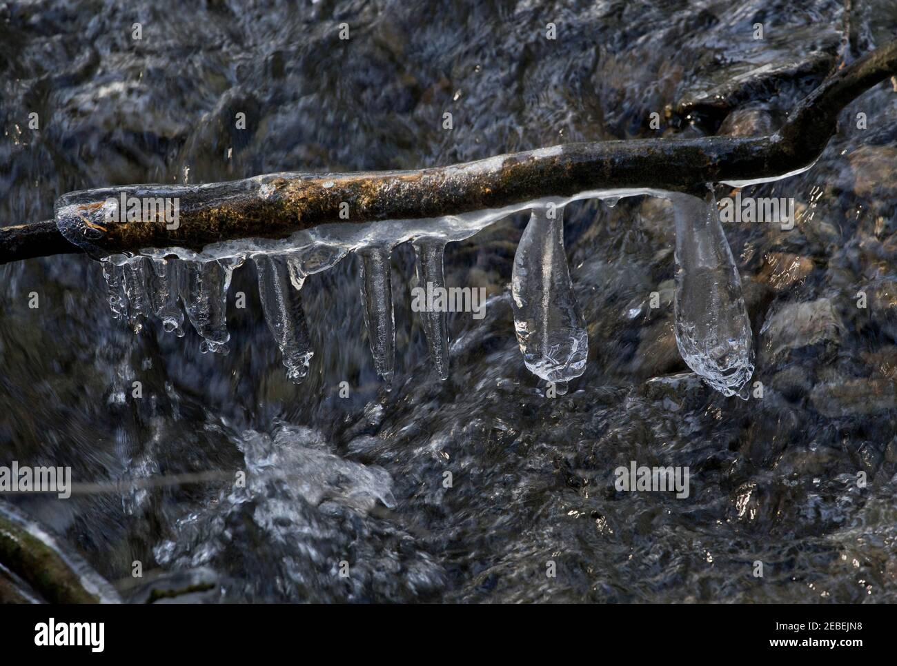 Icicles formed on dripping water in a cold winter day in a river in a ...