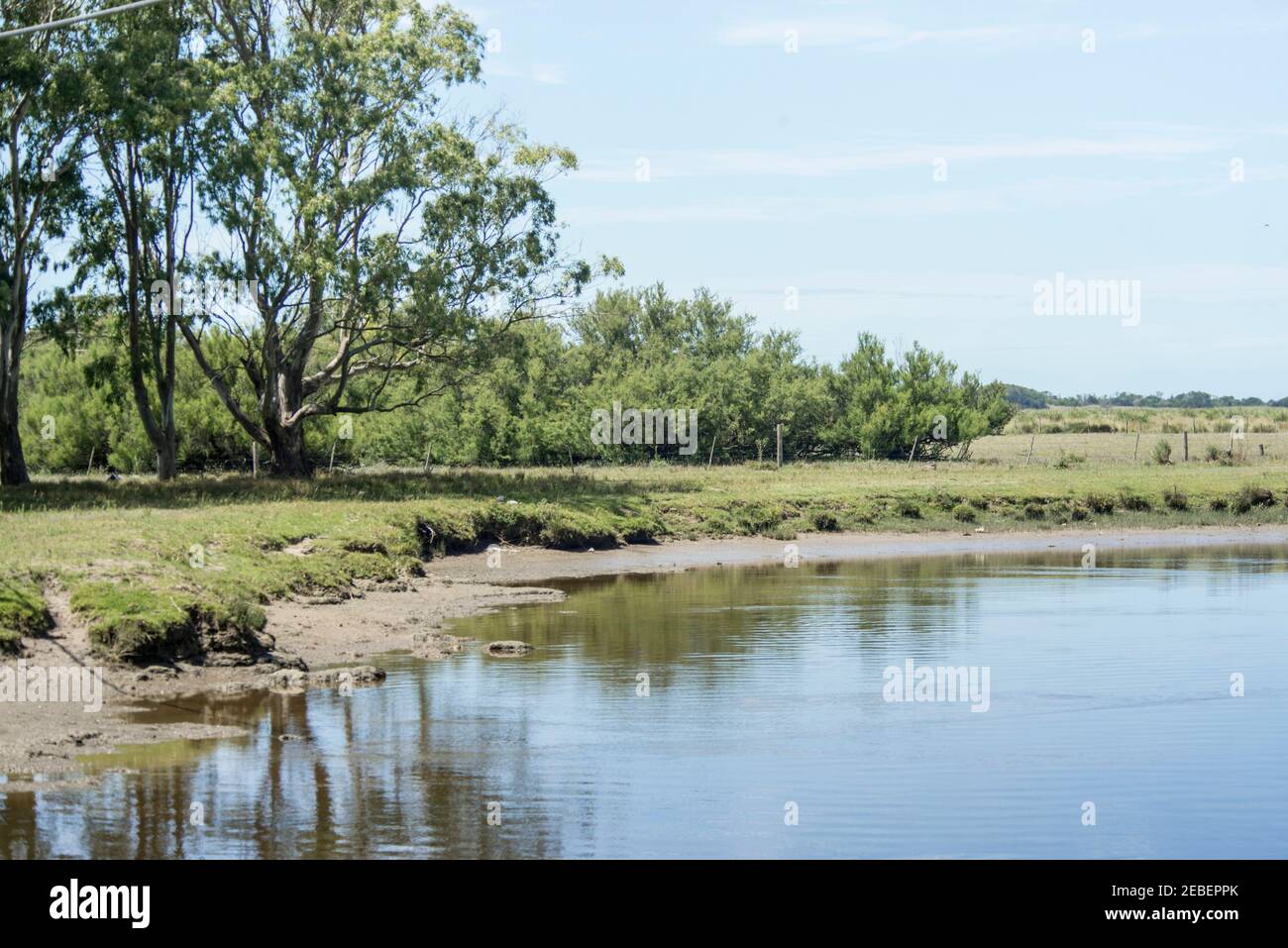 landscape river and trees Stock Photo - Alamy