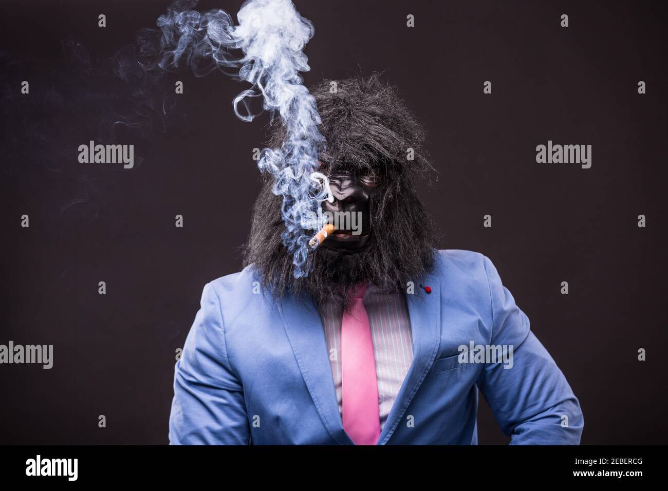 Chimpanzee smoker hi-res stock photography and images - Alamy
