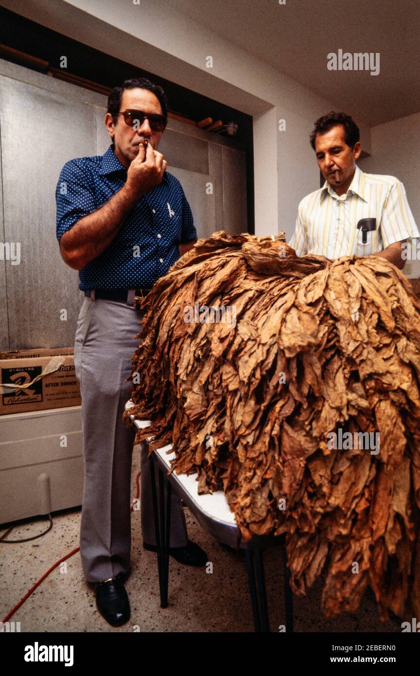 Padron Cigar Wallpaper