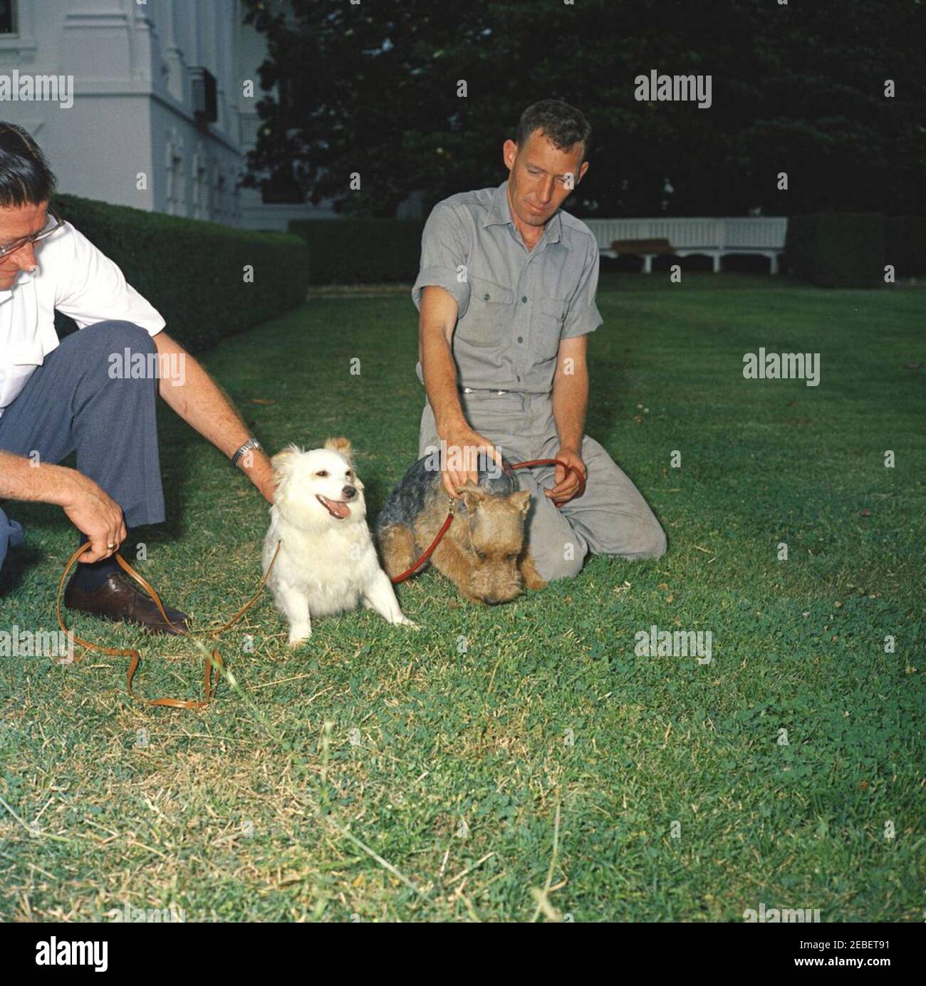 John adams president dog hi-res stock photography and images - Alamy