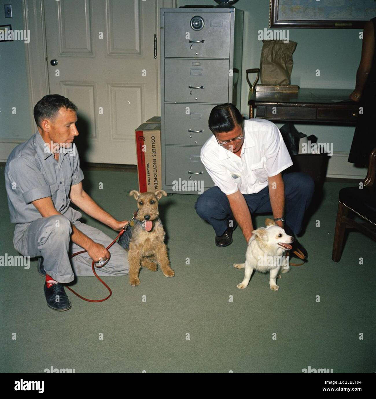 Pushinka, a dog gifted by Nikita Khrushchev, Premier of the Soviet ...