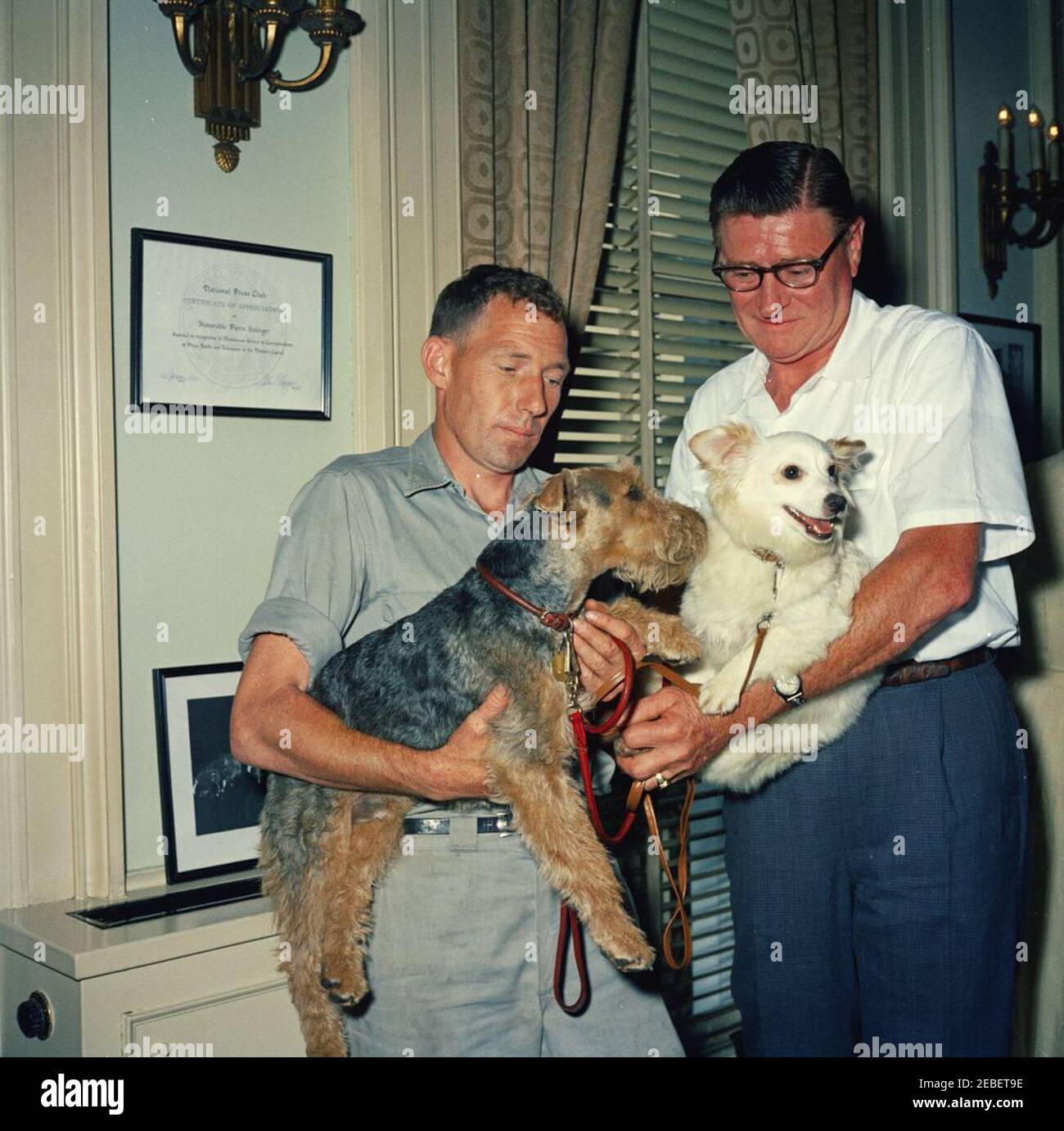 Pushinka, a dog gifted by Nikita Khrushchev, Premier of the Soviet ...