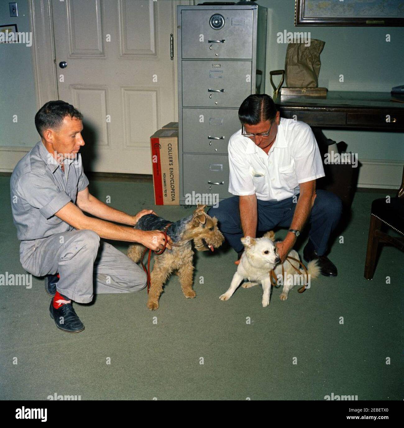 Pushinka, a dog gifted by Nikita Khrushchev, Premier of the Soviet ...