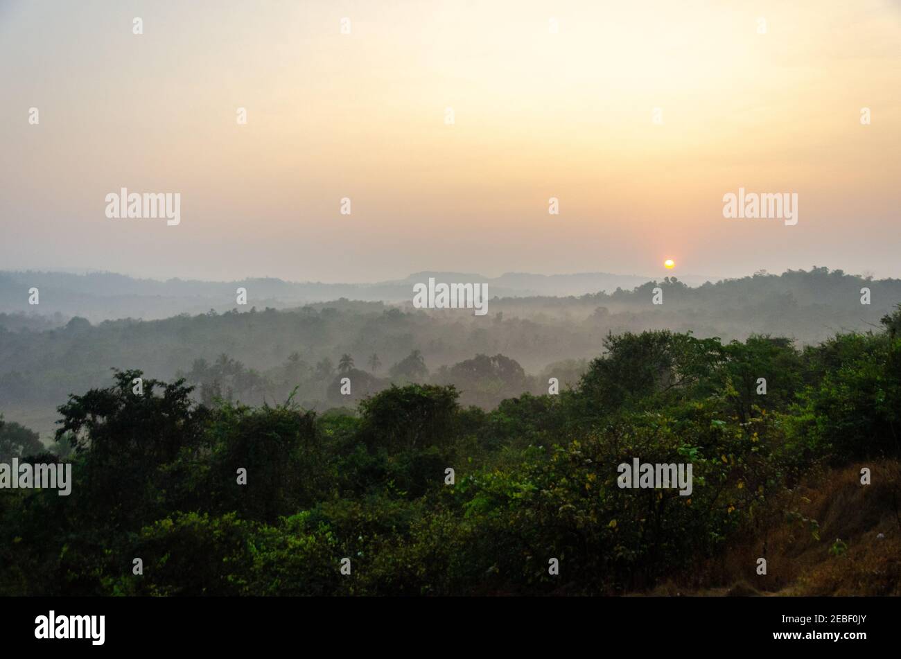 Goan landscape hi-res stock photography and images - Alamy