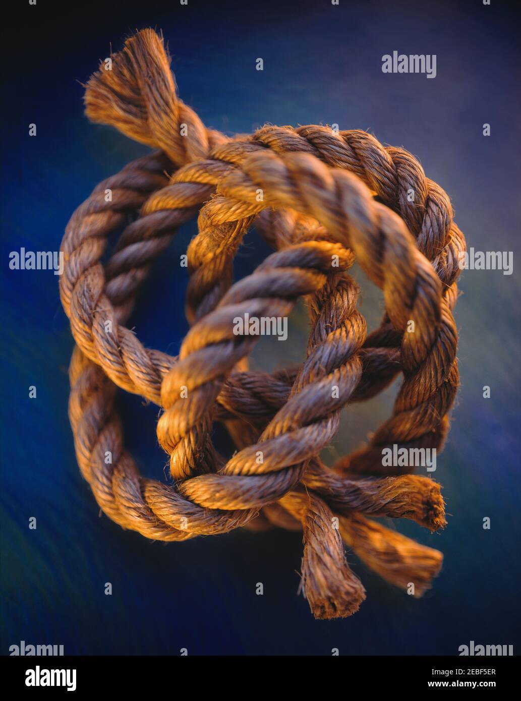 End to end challenge hi-res stock photography and images - Alamy