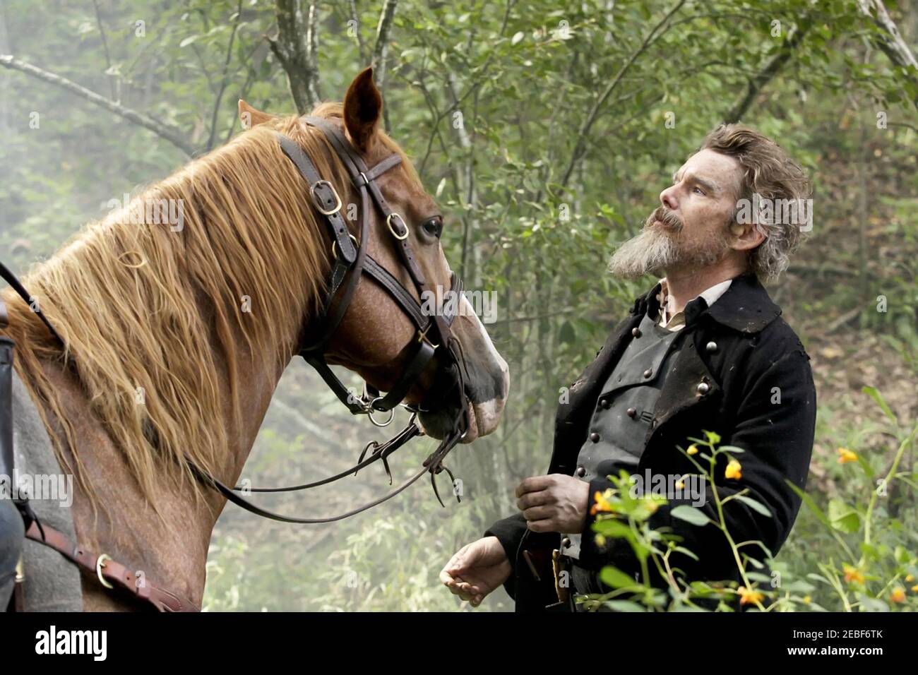 USA. Ethan Hawke in the (C)Showtime series: The Good Lord Bird (2020 ...