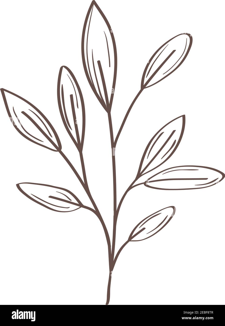 Leafs plant hand drawn Stock Vector Images - Alamy