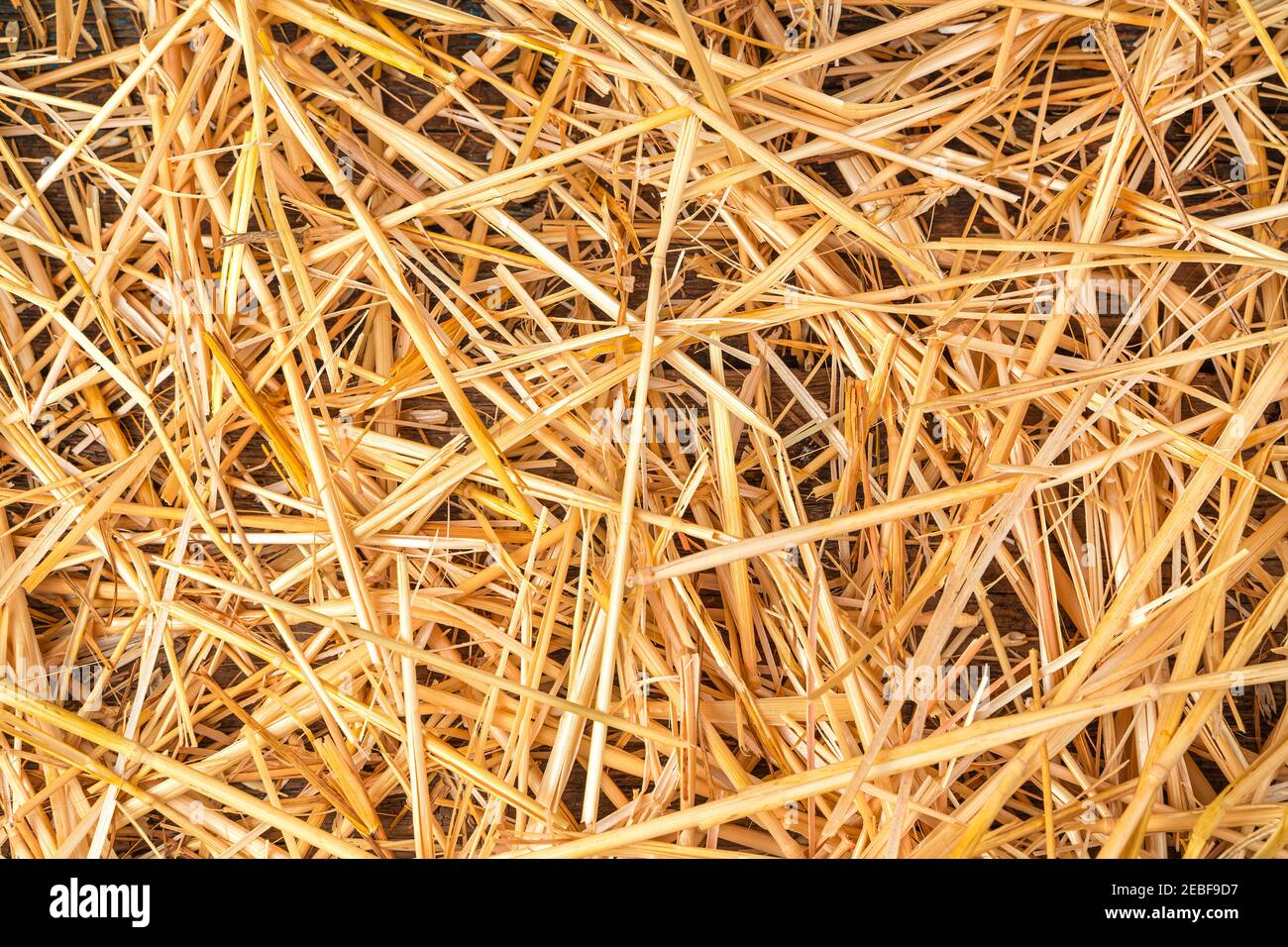 Background with yellow straw. Top view Stock Photo - Alamy