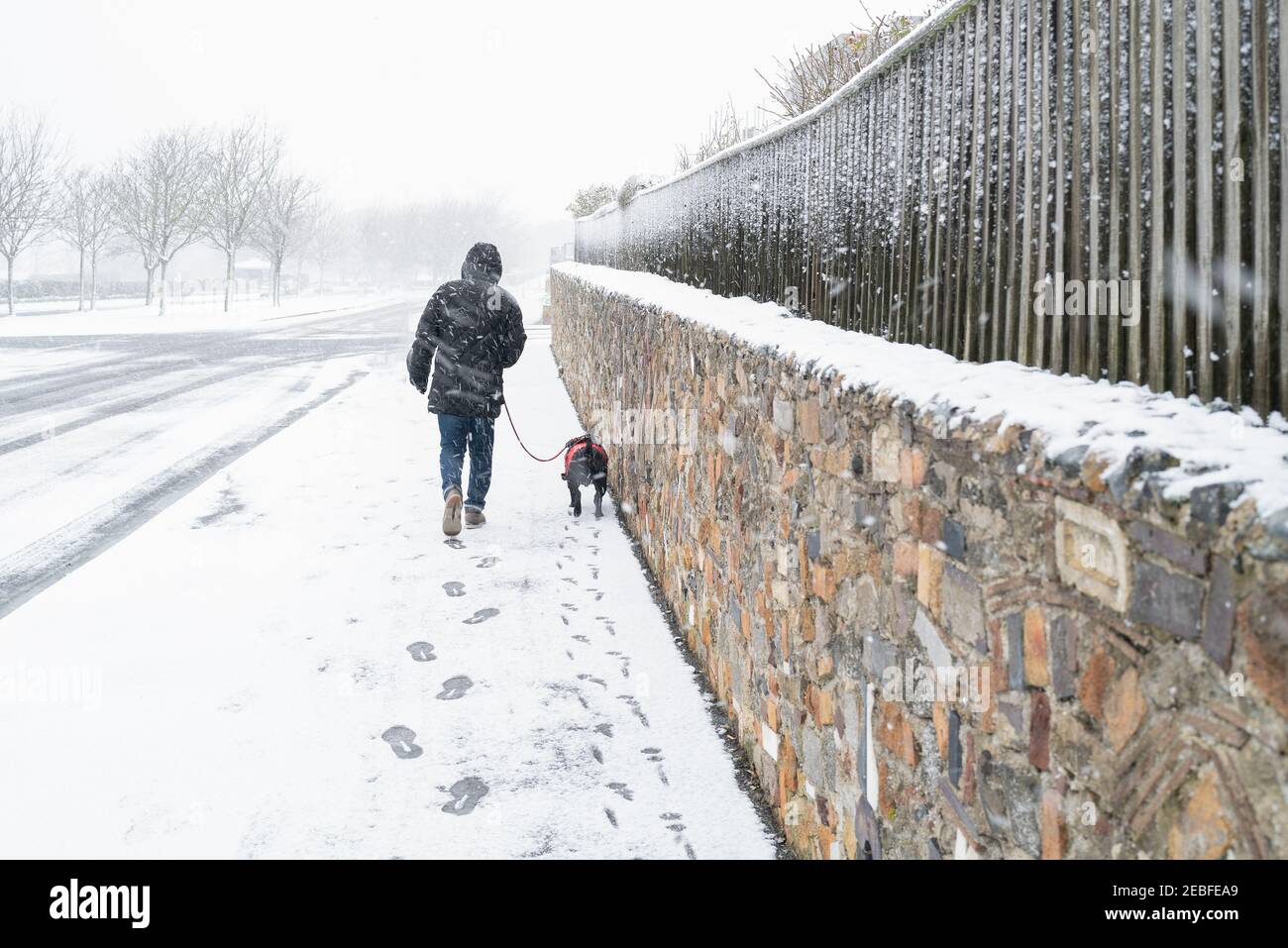 A man walking a dog in the snow. Footprints of the man and dog can be ...