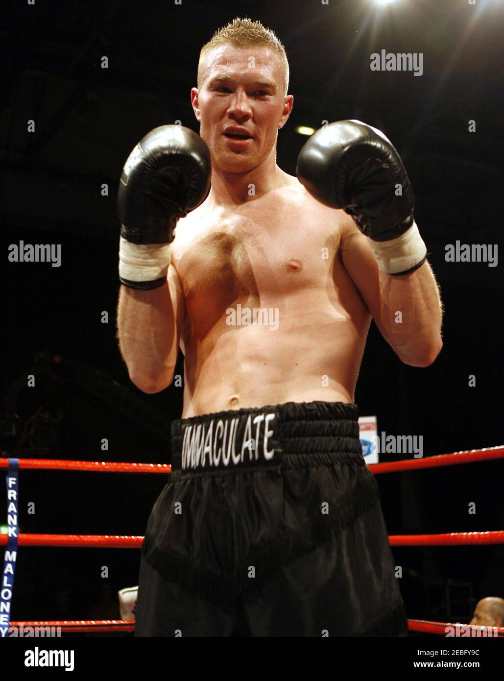 Knock Out Boxing High Resolution Stock Photography and Images - Alamy