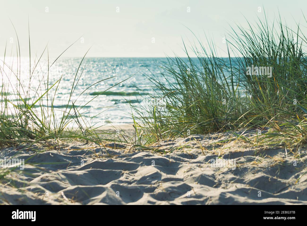 Sand dunes with grass in noon sunlight on sandy beach. Beautiful sunny ...