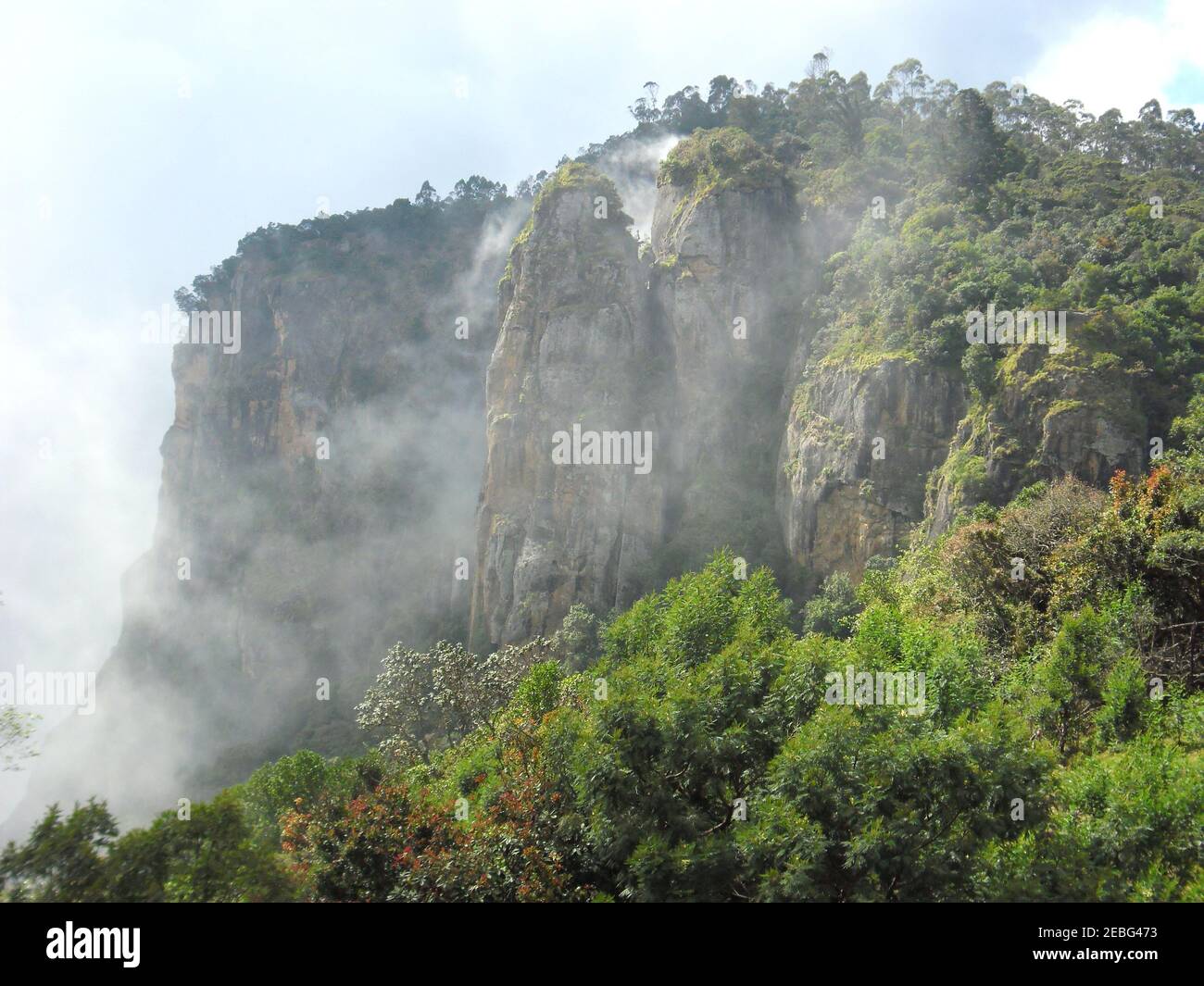 Scenic waterfall and trees on cliffs Stock Photo - Alamy