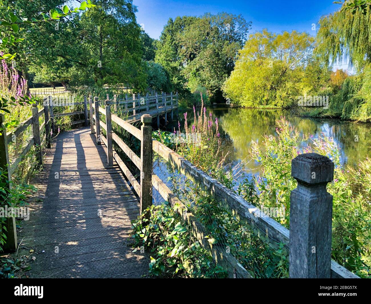 Essex summer walk hi-res stock photography and images - Alamy