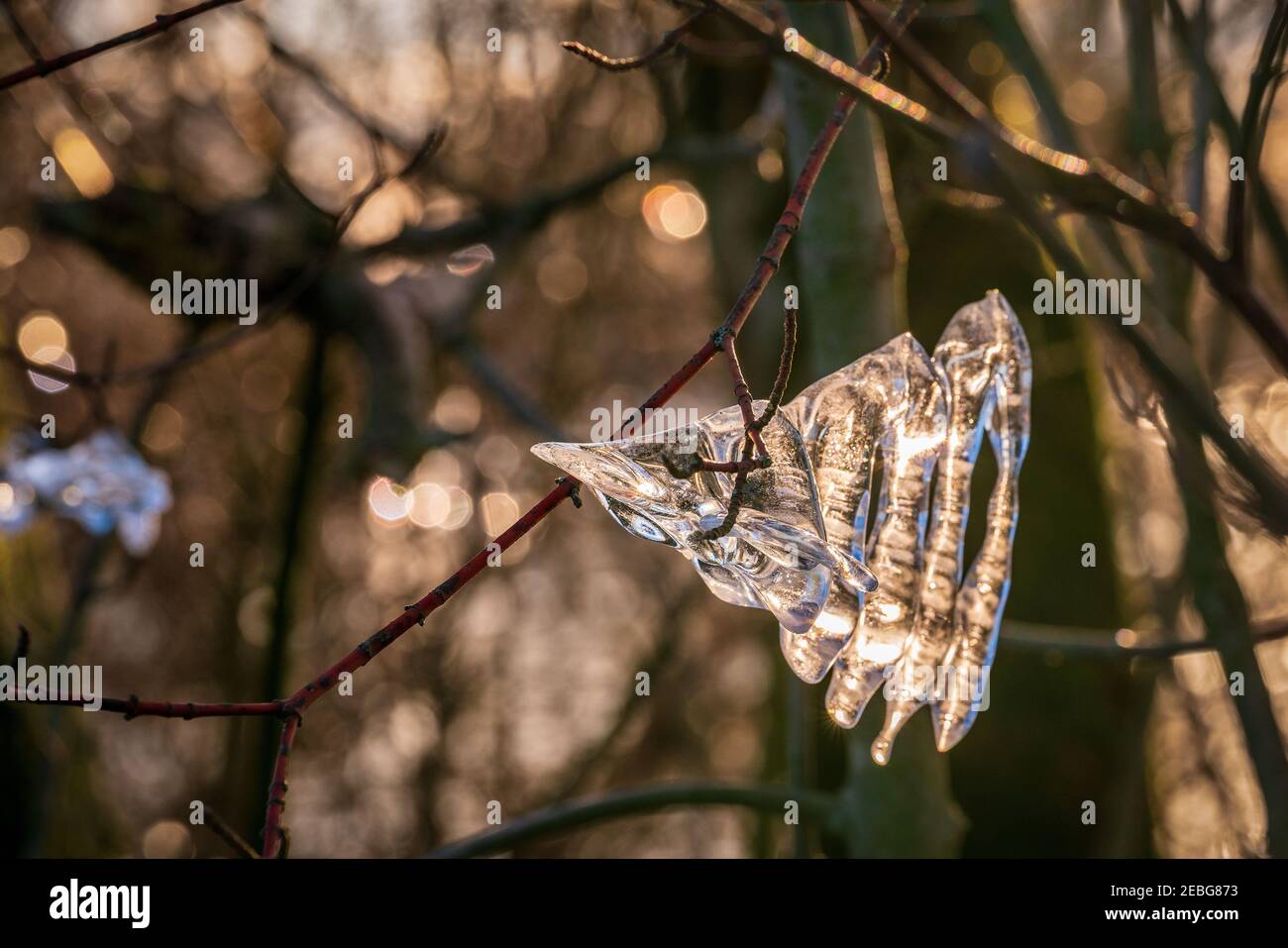 Icicles silhouette hi-res stock photography and images - Alamy