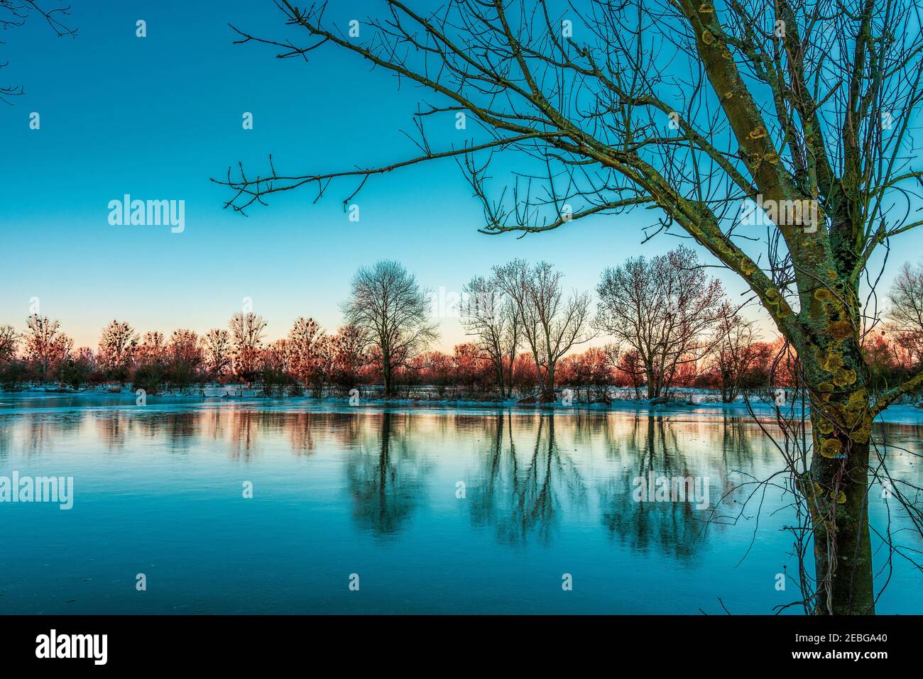 Ice covered field after a flood and frosty night, Düsseldorf Germany ...