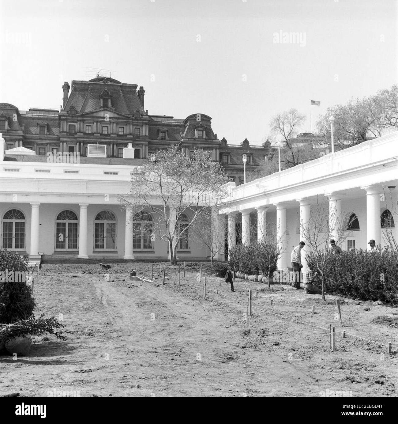 Rose Garden reconstruction, progress photos. Construction work in ...