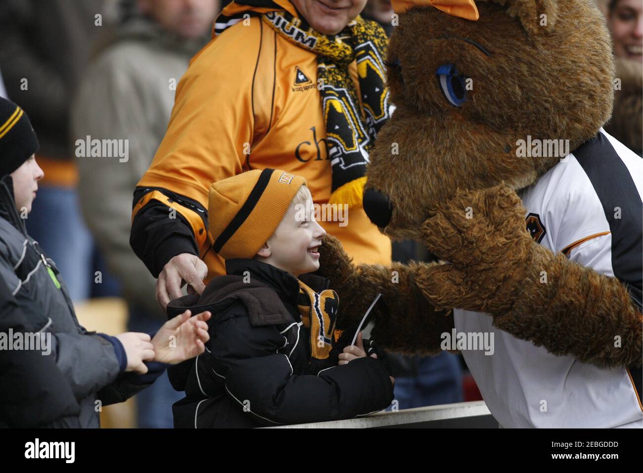 Wolverhampton wanderers mascot wendy High Resolution Stock Photography ...