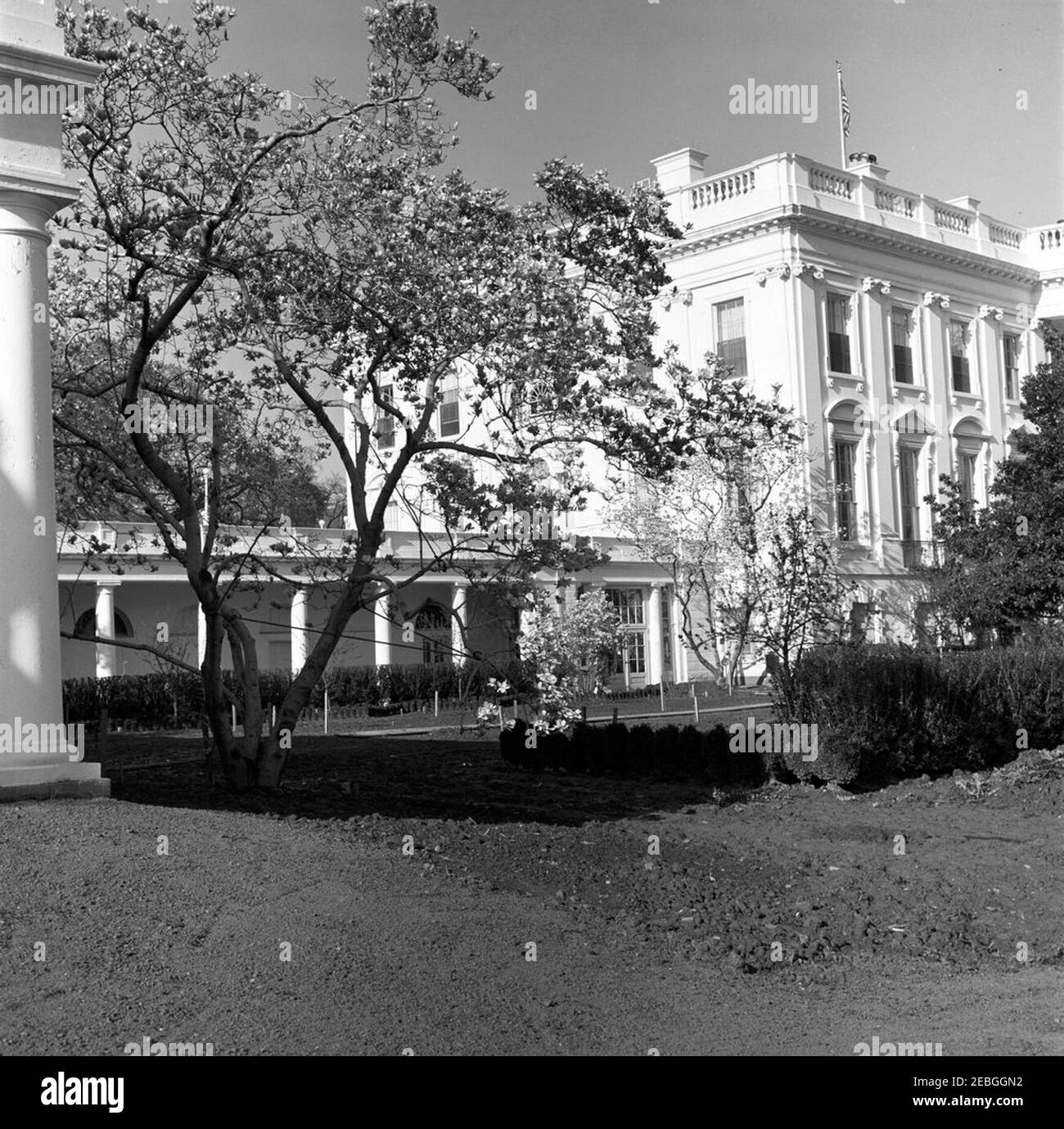 Rose Garden reconstruction, progress photos. Construction work in ...