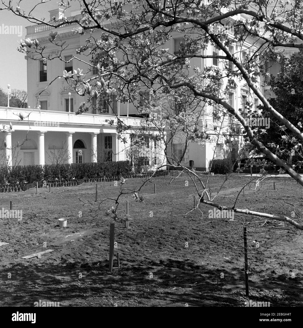 Rose Garden reconstruction, progress photos. Construction work in ...
