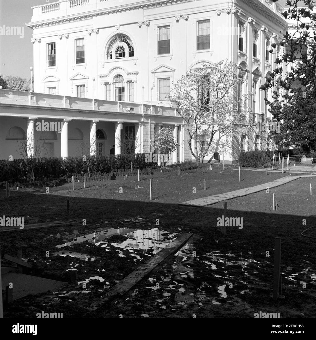Rose Garden reconstruction, progress photos. Construction work in ...