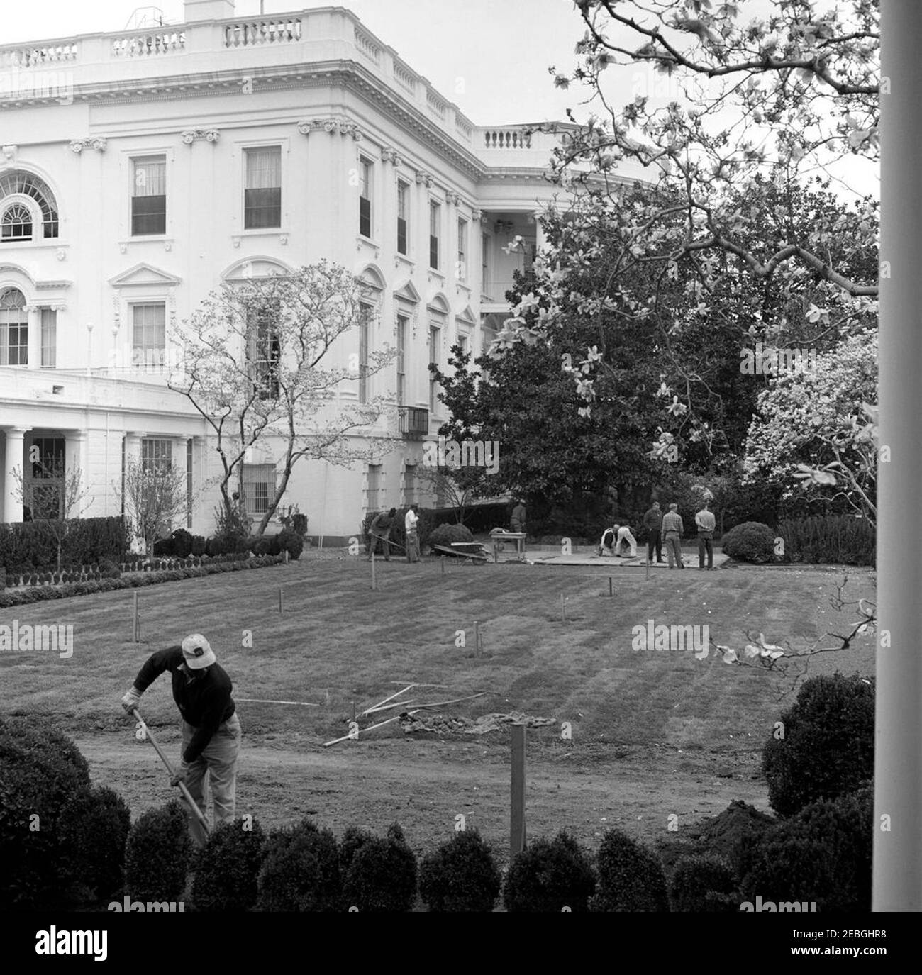 Rose Garden, construction progress photos. View of the Rose Garden ...