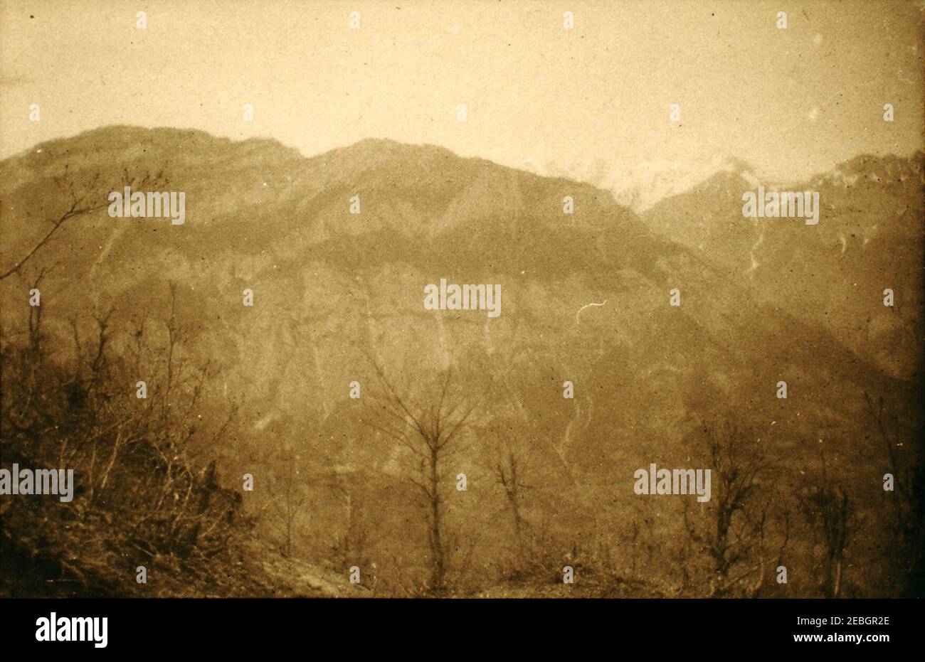 Nopcsa hi-res stock photography and images - Alamy