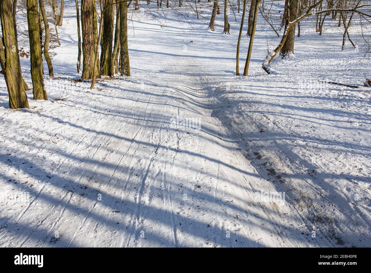 Parallel shadow lines on white snow background. Sunny winter day in a ...