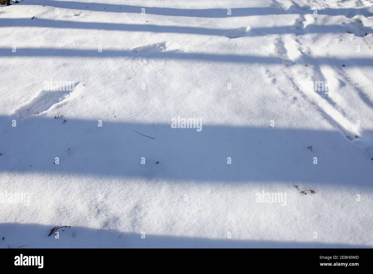 Parallel shadow lines on white snow background. Sunny winter day in a ...