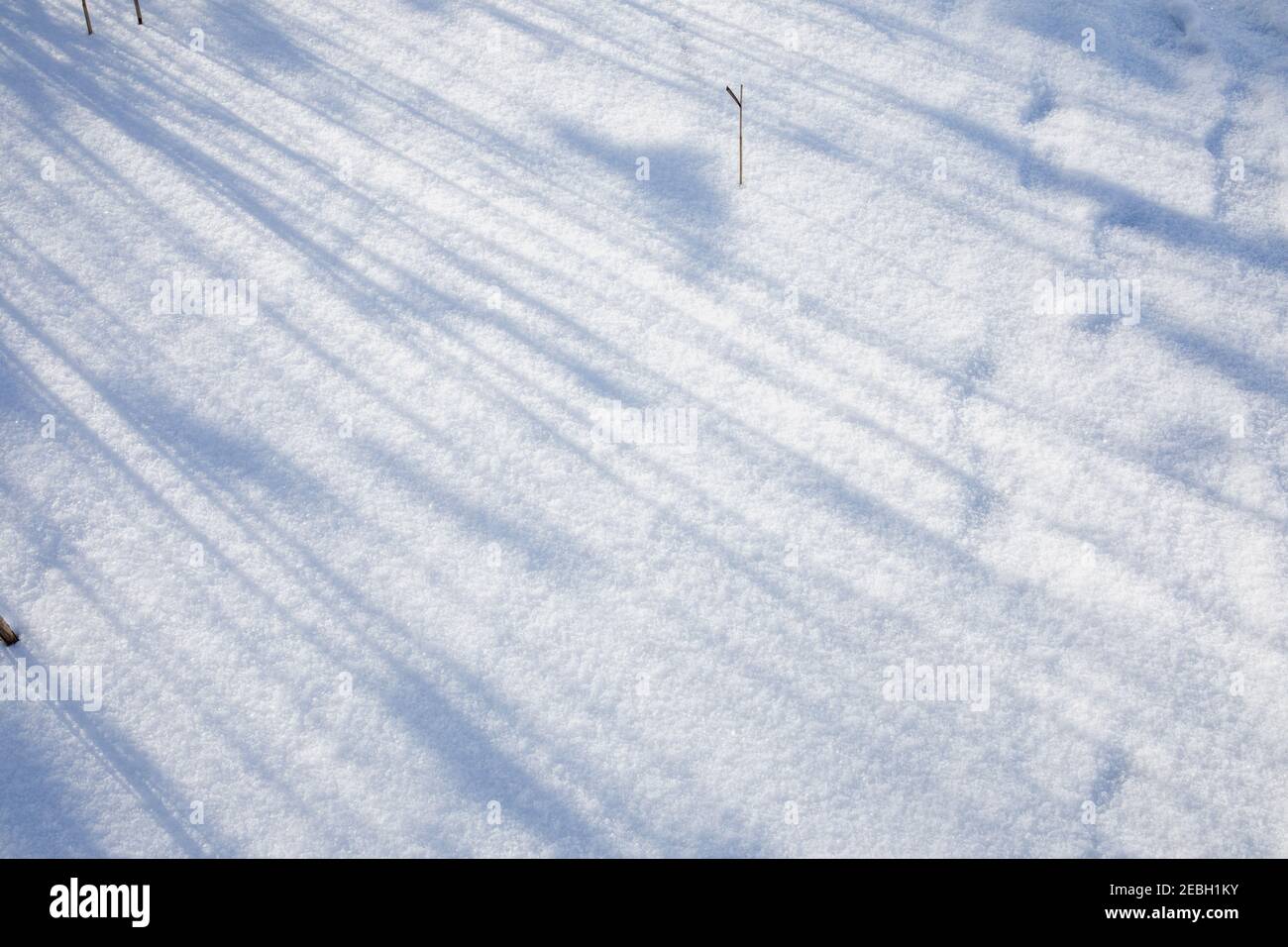 Parallel shadow lines on white snow background. Sunny winter day in a ...