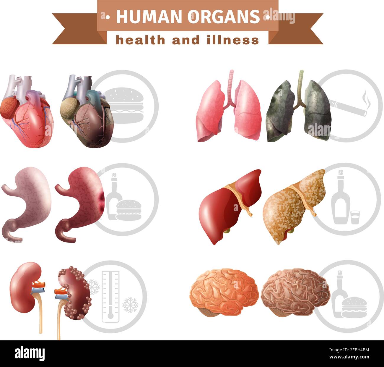 Human organs health risk factors icons composition medical poster with ...