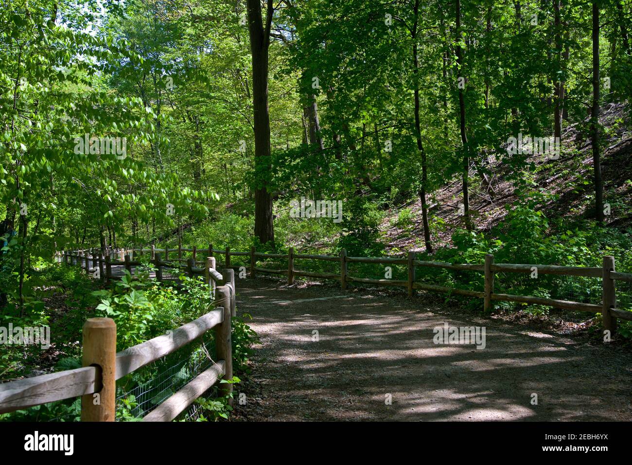 Foot trail hi-res stock photography and images - Alamy