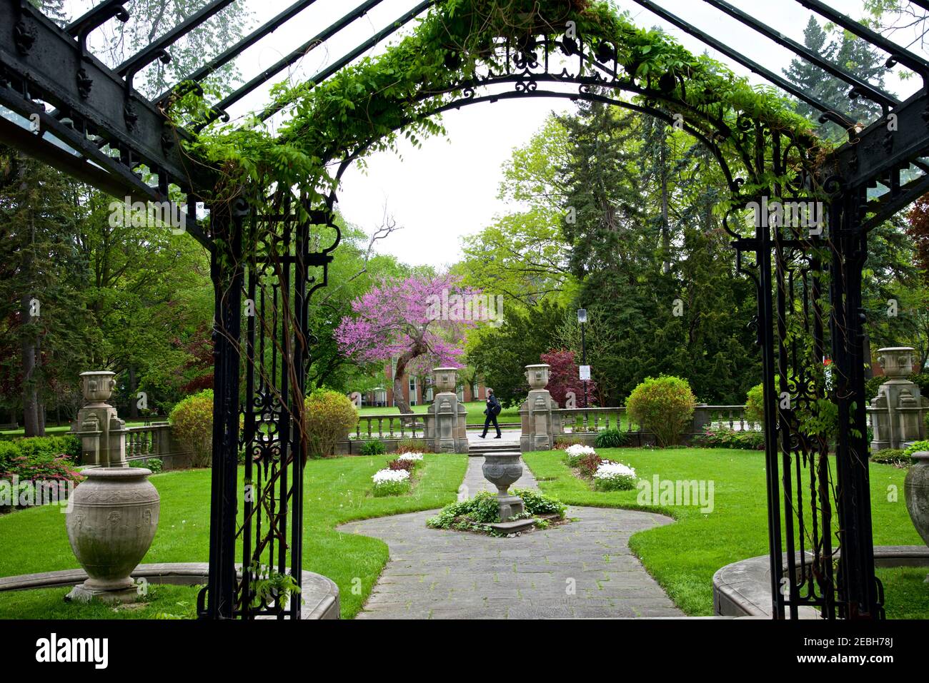 Landscaped front garden hi-res stock photography and images - Alamy