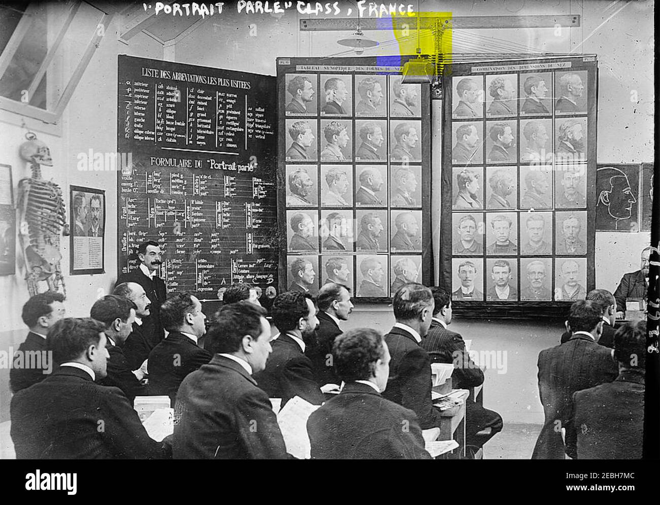 Physical characteristics hi-res stock photography and images - Alamy