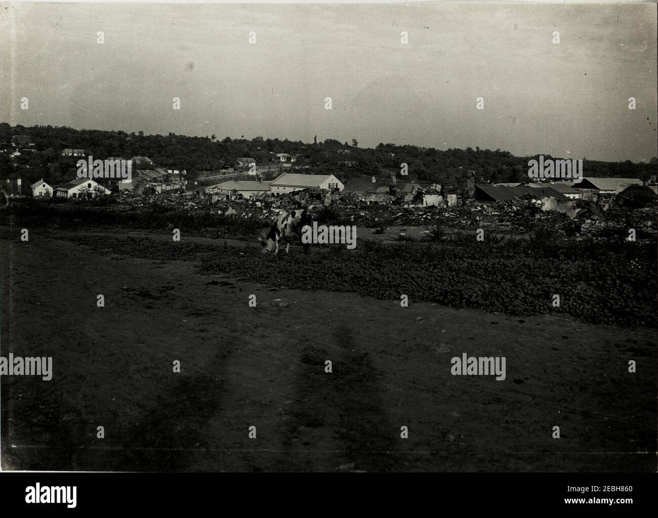 Horodenka hi-res stock photography and images - Alamy