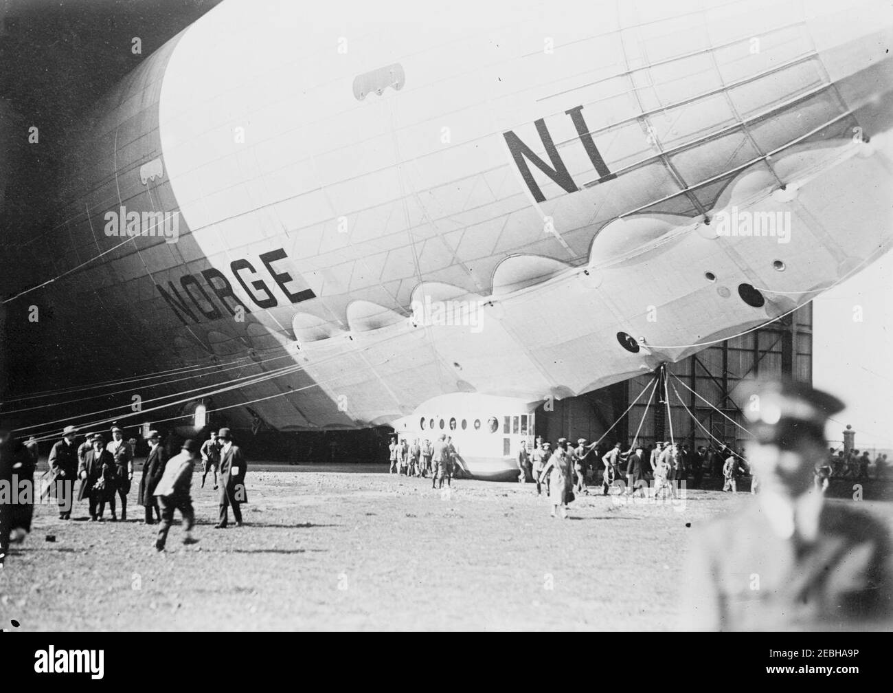 Pulled out Black and White Stock Photos & Images - Alamy