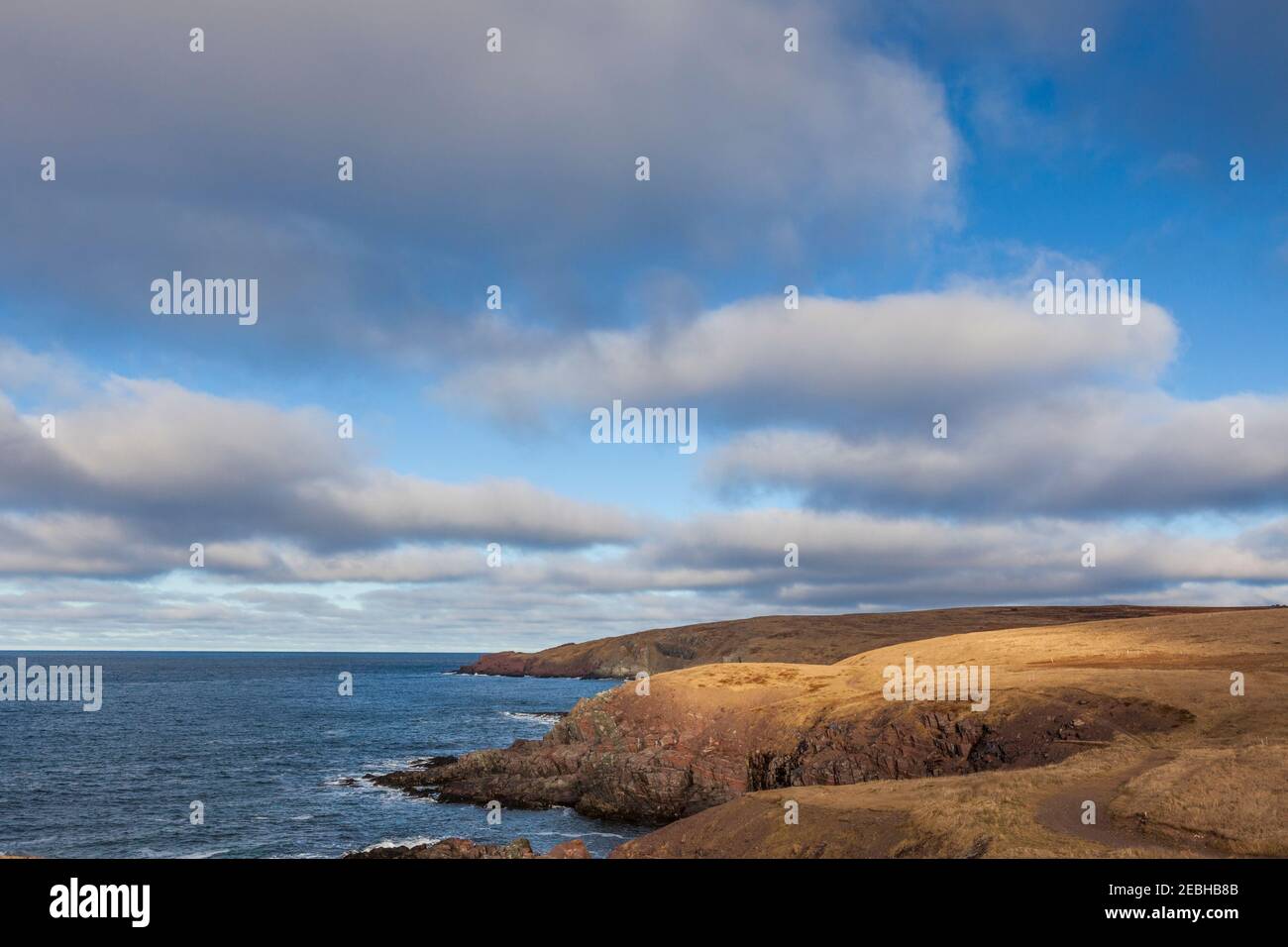 Shoreline in winter hi-res stock photography and images - Alamy