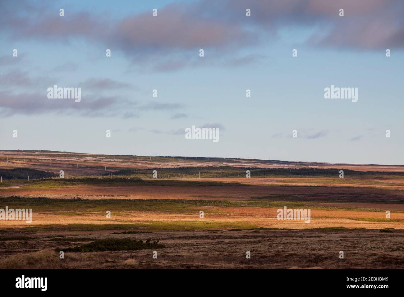 Barrens barren rock newfoundland hi-res stock photography and images ...
