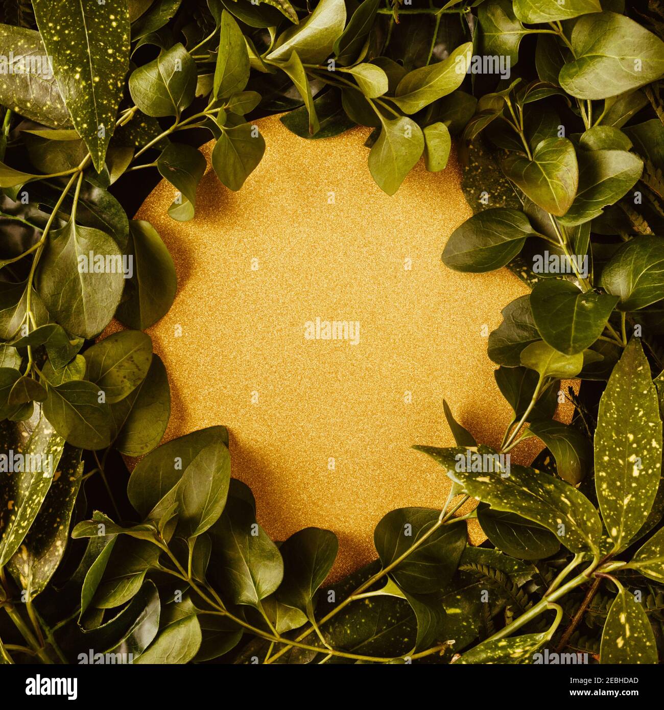 Tropical green leaves with rounded gold frame, copy space. Creative ...