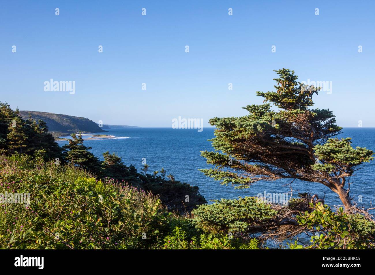 Cliffs along the coast of newfoundland hi-res stock photography and ...