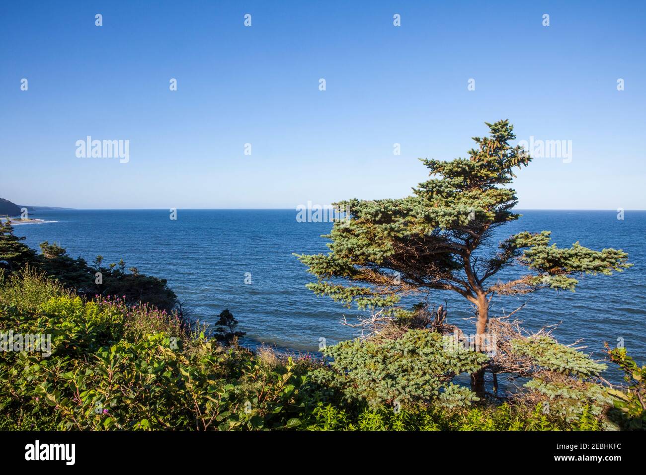 100 summer st hi-res stock photography and images - Alamy