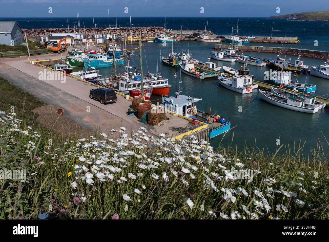 Harbour and fishing boats, St. Bride's, Newfoundland, Canada Stock ...