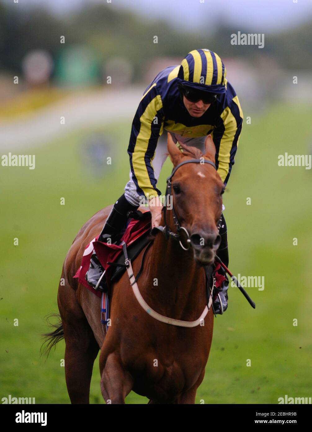 Haydock Park Races High Resolution Stock Photography and Images - Alamy