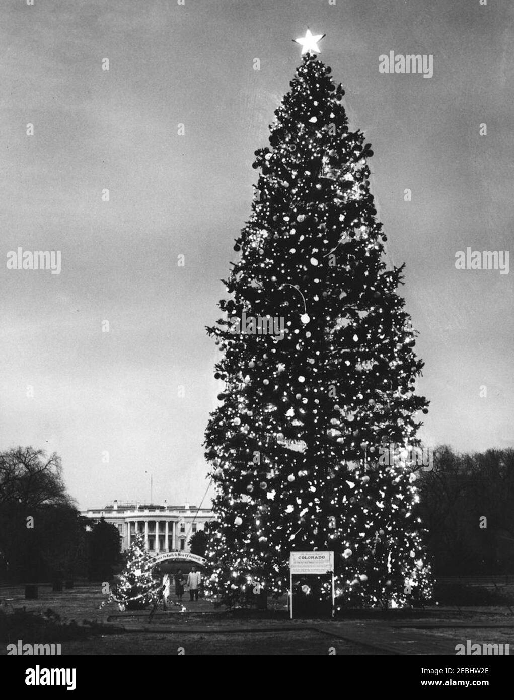 Christmas tree lighting ellipse Black and White Stock Photos & Images ...