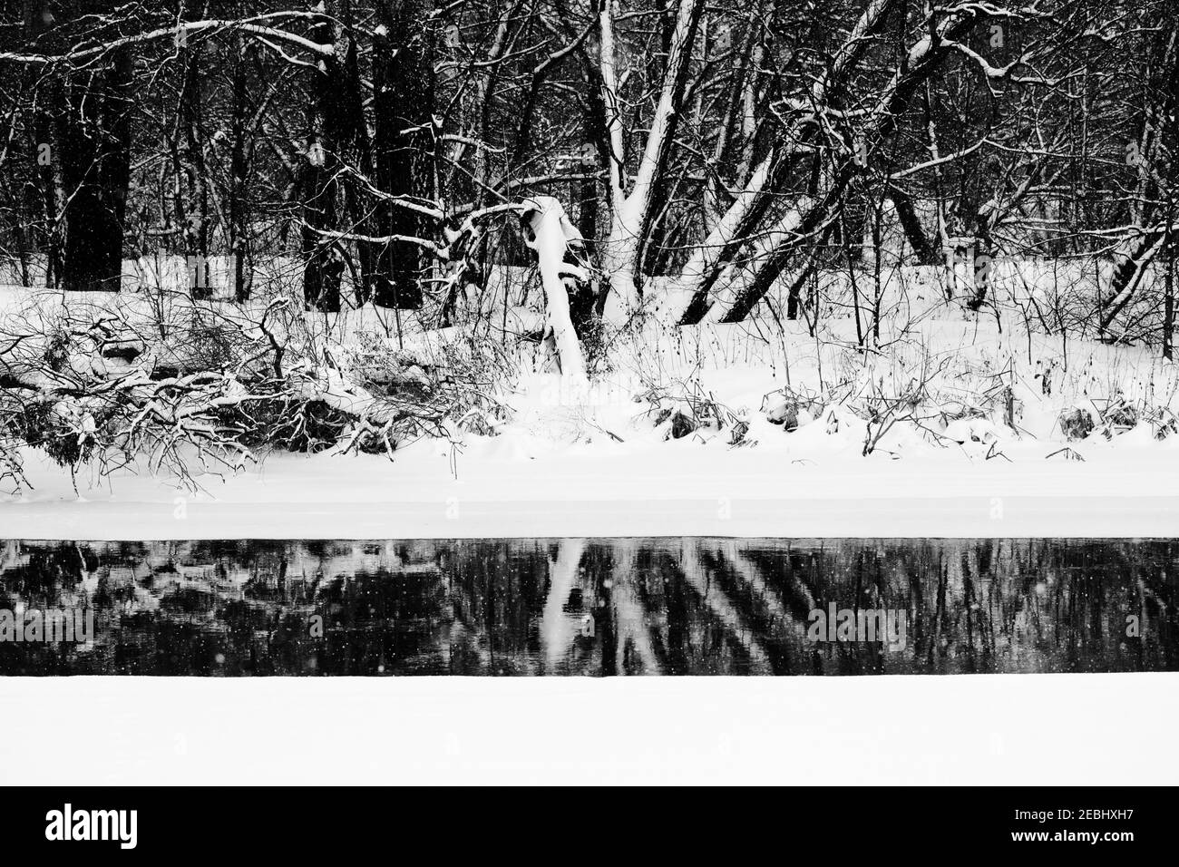 Black and white snowy forest, ice covered river and polynya with ...