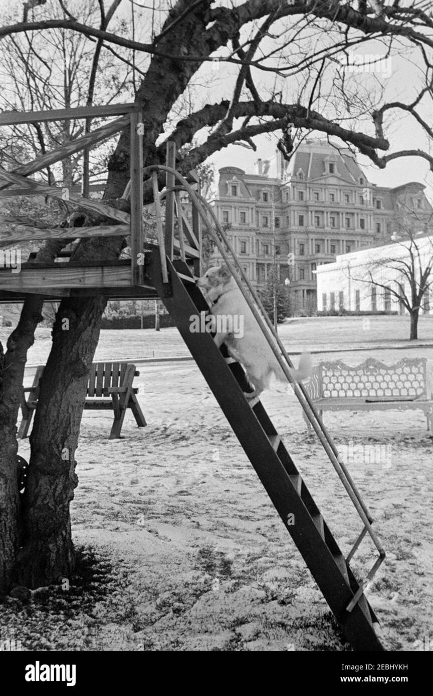 Pushinka (White House dog) on Caroline Kennedyu2019s (CBK) slide ...