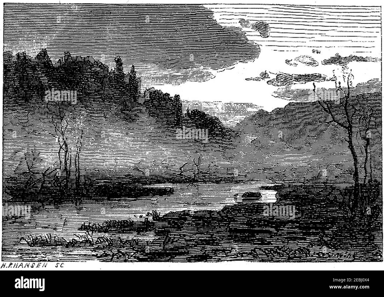 eventyr - En Sommernat paa Krogskoven 1 Stock Photo - Alamy